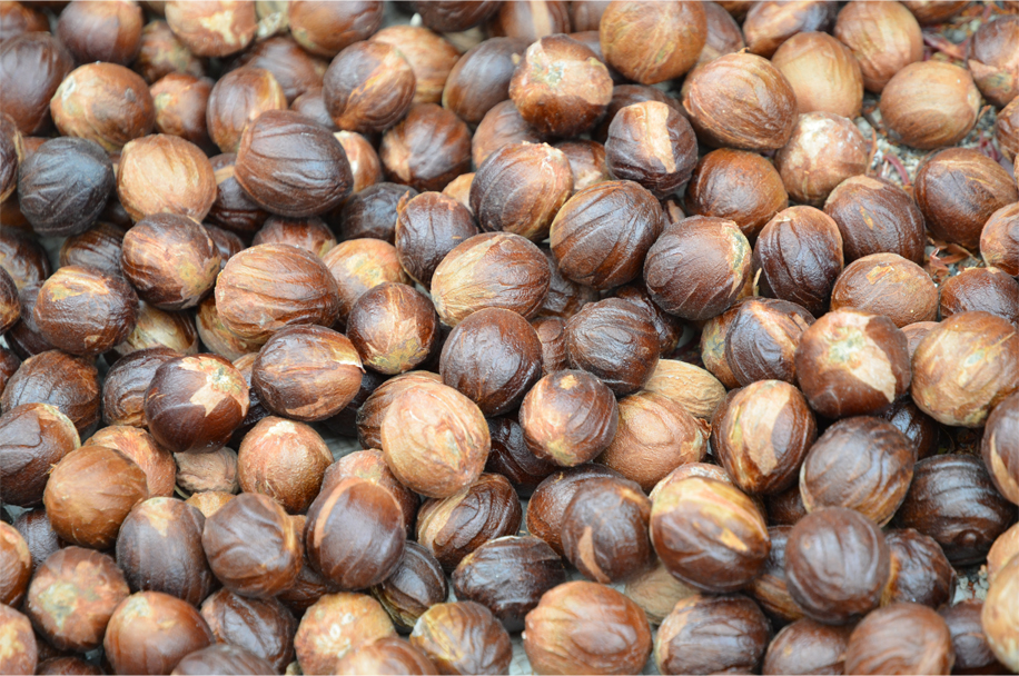 For all the nutmeg in the world | Plus Ultra