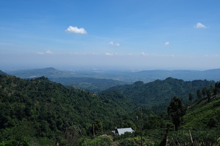 Hiking the Cisadon Trail | Plus Ultra